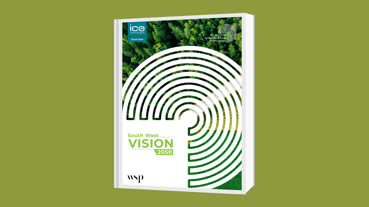 South West Vision 2050 - SWIP